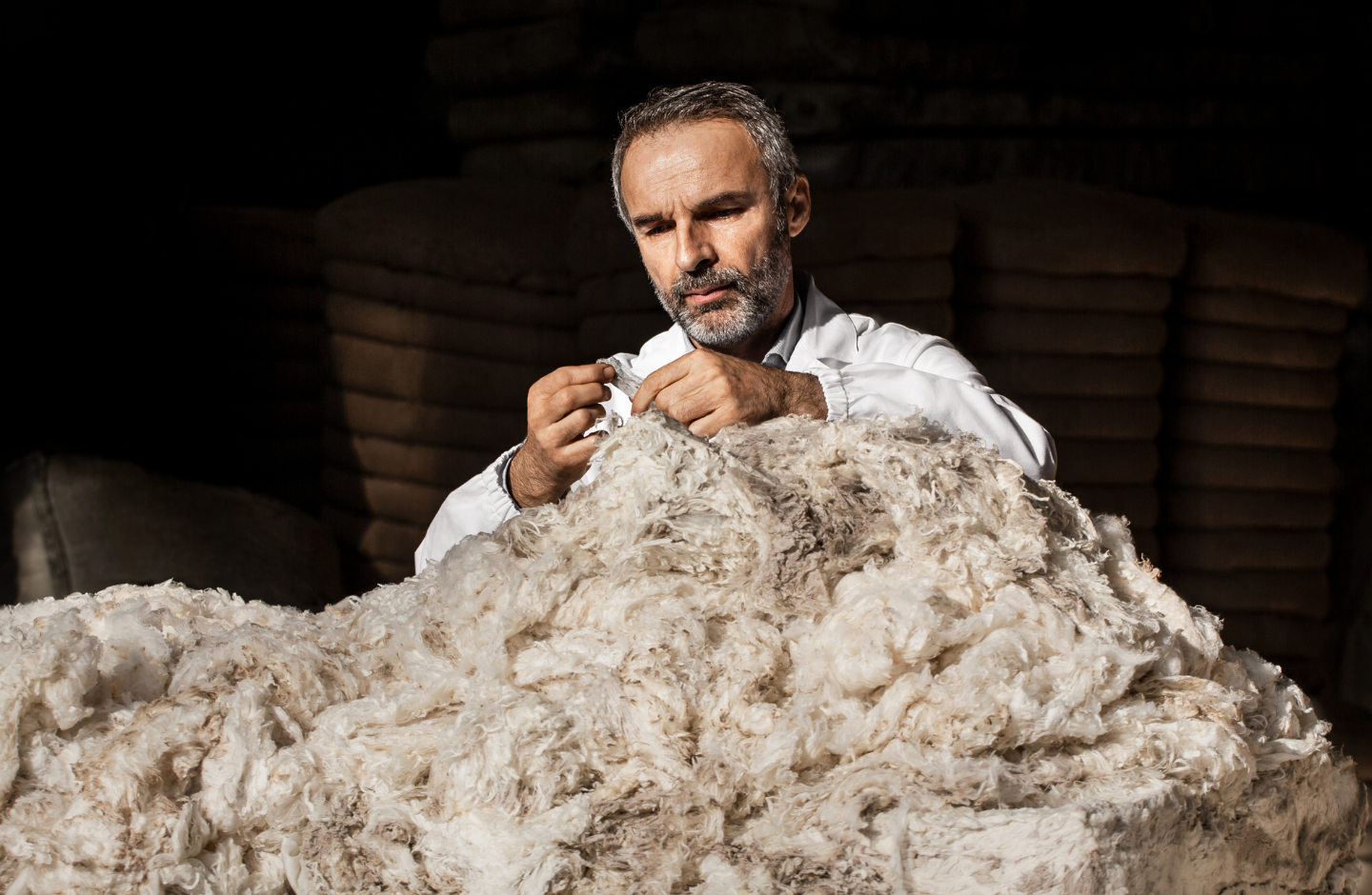 Rare Fibres Redefining Luxury: The Legacy of Loro Piana | ASSOULINE