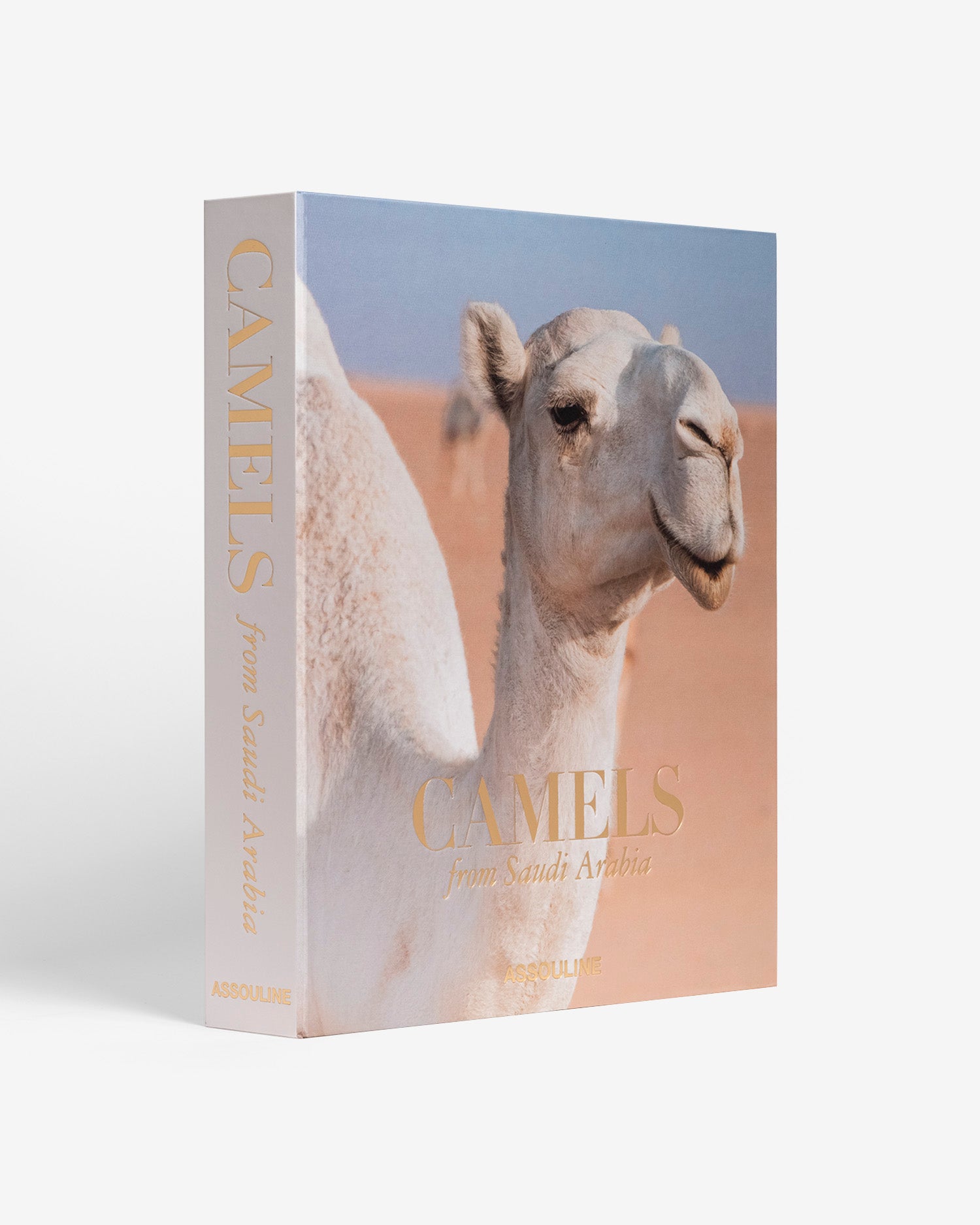 Camels from Saudi Arabia Large Book | ASSOULINE