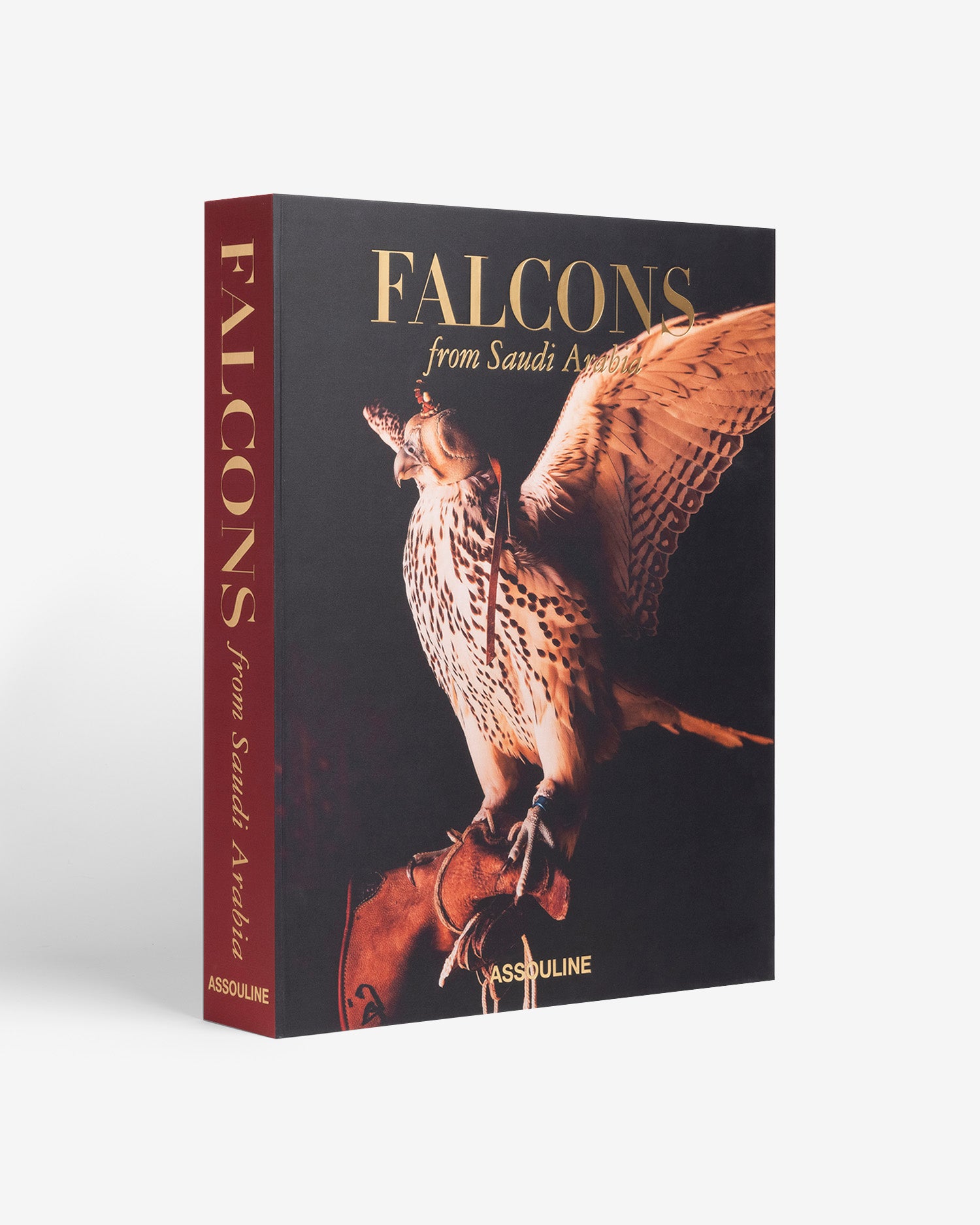 Falcons from Saudi Arabia Coffee Table Book | ASSOULINE