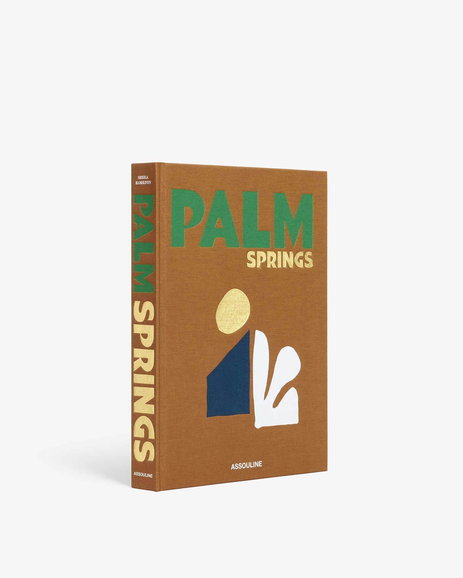 Palm Springs Coffee Table Book | Desert Oasis | ASSOULINE